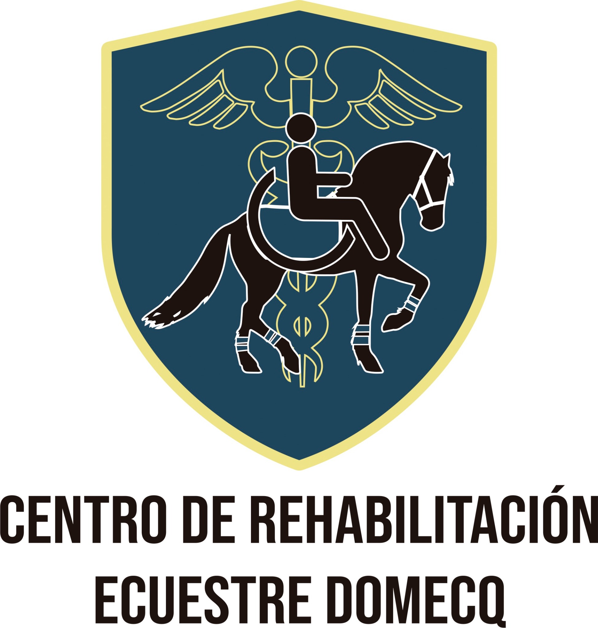 CENTRO DE REHABILITACION Y DOMA MEXICANA EQUINA | DIFUNDA